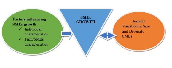 Growth of Smes in Dar es Salaam City in Tanzania: Factors Influencing ...
